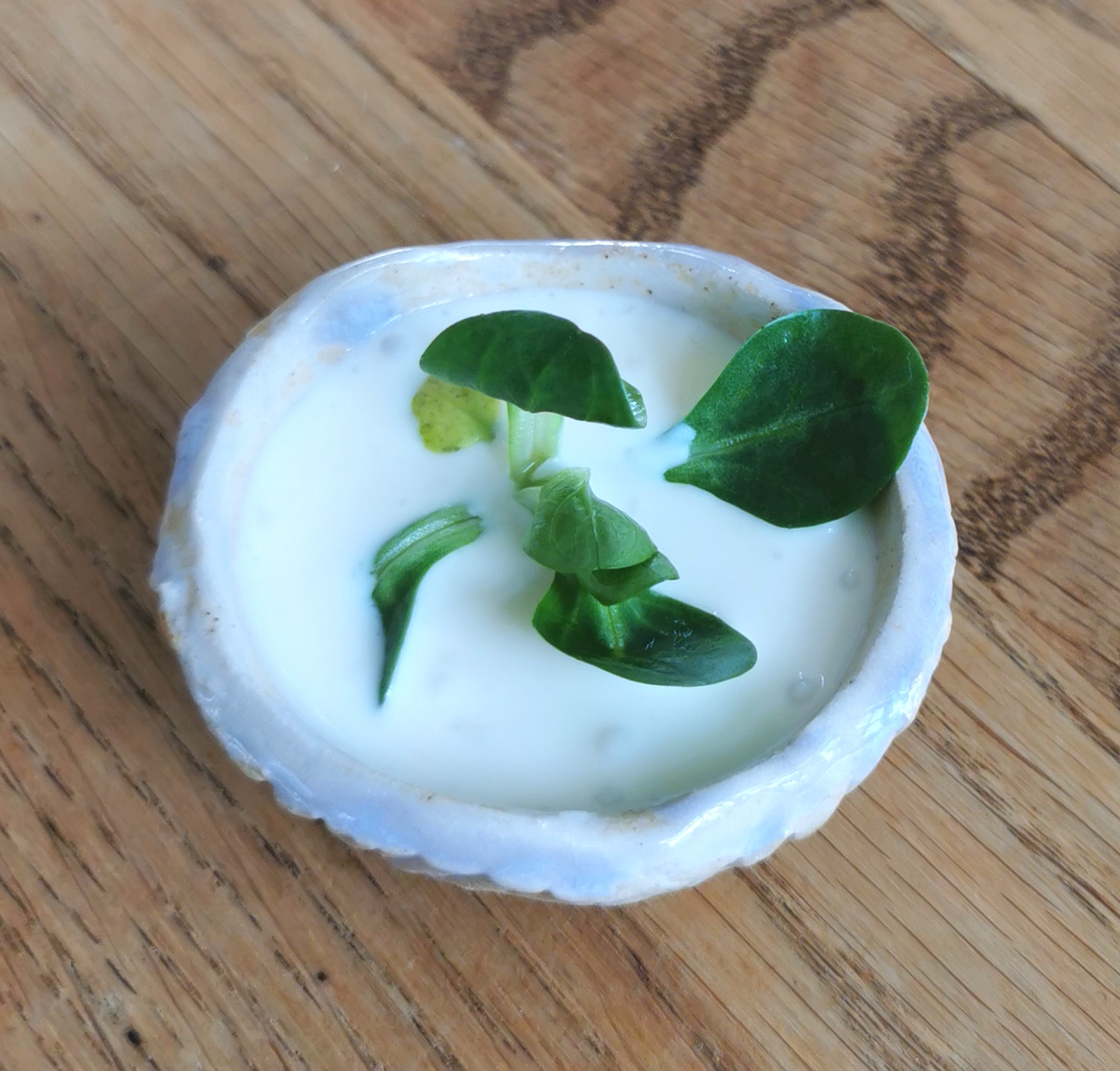 Forret med aubergine | vegetar for alle